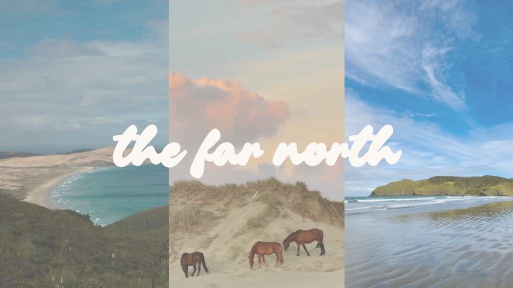 New Zealand's Far North - an idyllic weekend in remote NZ